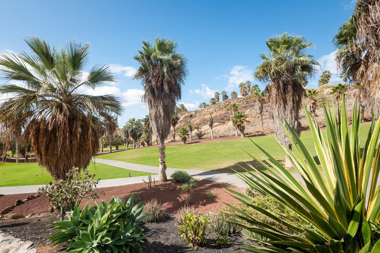 Costa Adeje Golf Course on Tenerife | South Tenerife Golf Services