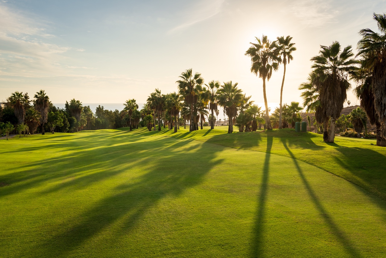 Costa Adeje Golf Course on Tenerife | South Tenerife Golf Services