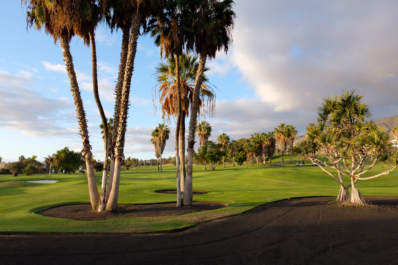 Costa Adeje Golf Course on Tenerife | South Tenerife Golf Services